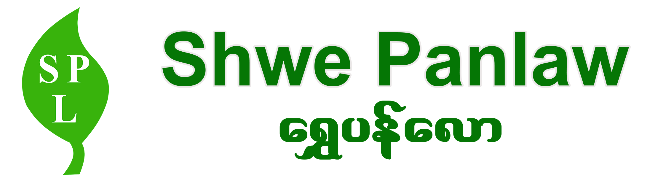 Shwe Panlaw Company Limited – Premium tea from Myanmar